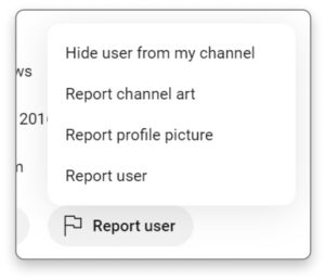 How to Report Inappropriate Content and Channels on YouTube - | Mobicip